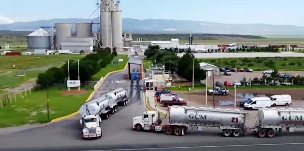 El Heraldo de Xalapa - Granjas Carroll superará retos y desafíos en ...